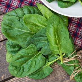 Spinach Seeds in Seed Gardening - Walmart.com