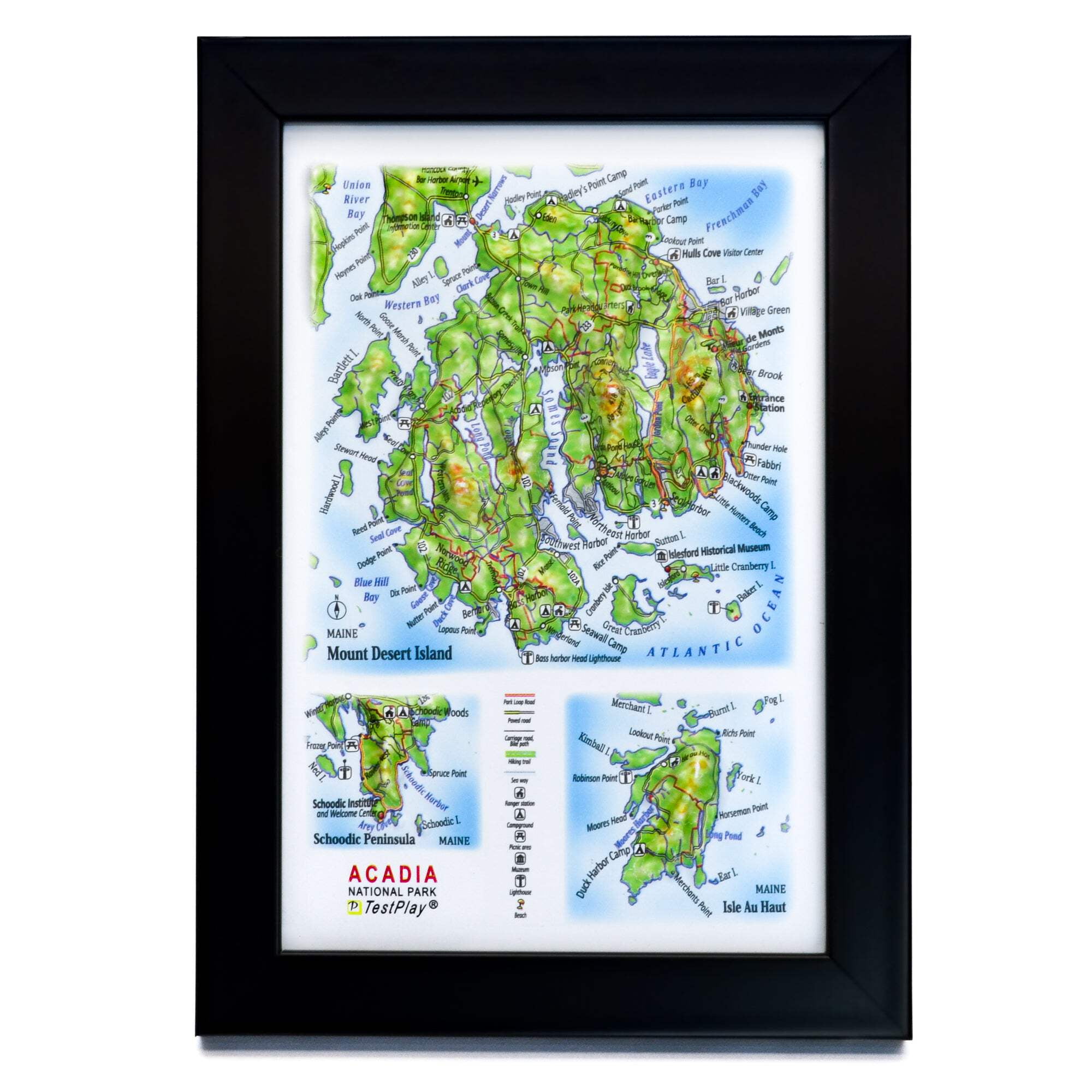 Acadia National Park 3D Raised Relief Map - Walmart.com