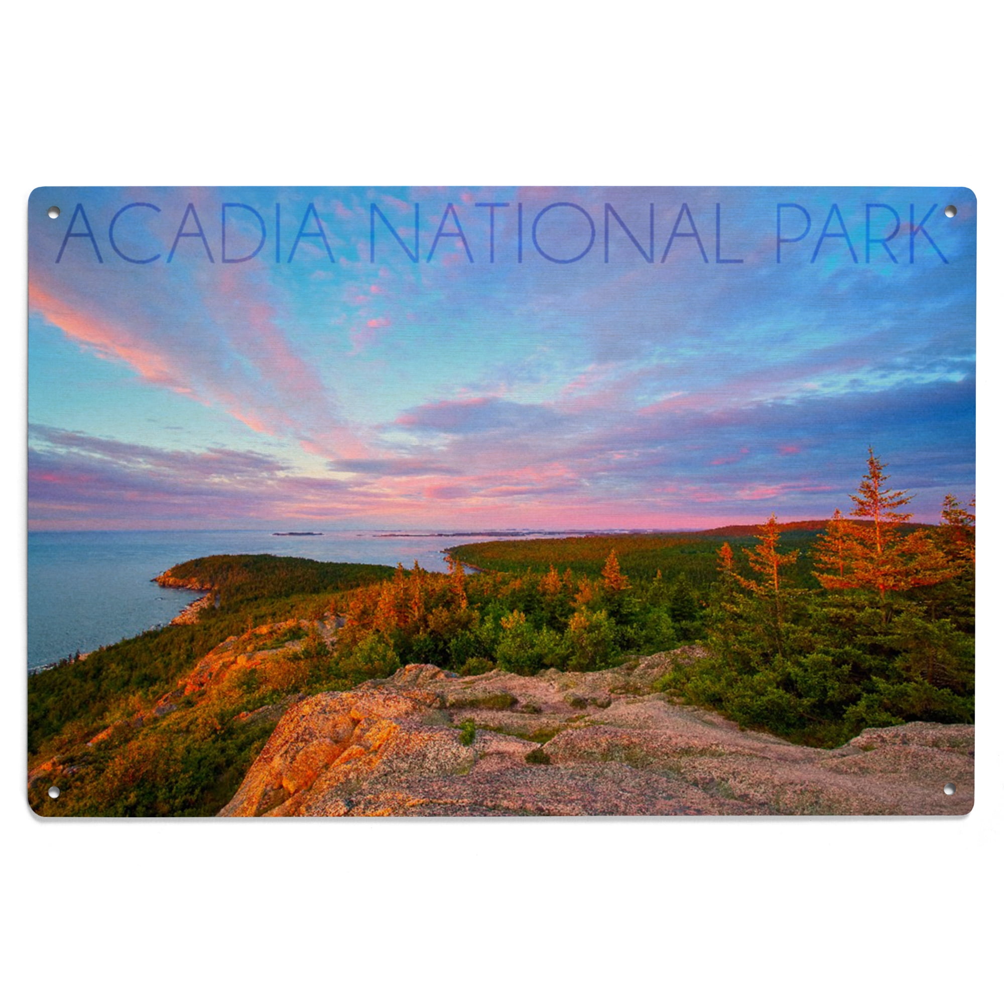 Acadia National Park, Maine, Cadillac Mountain Birch Wood Wall Sign ...