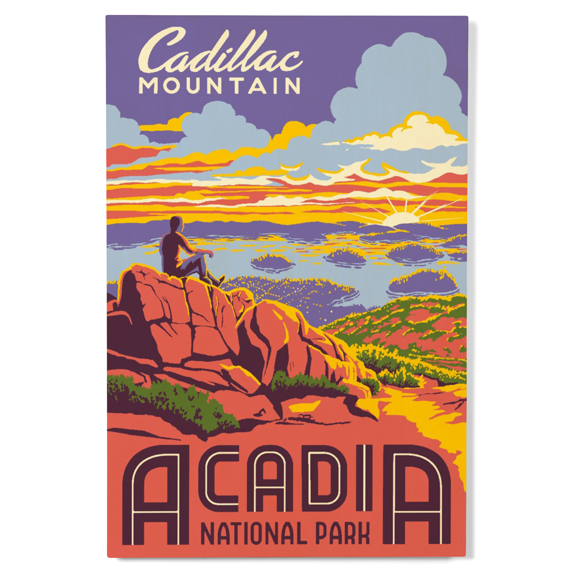 Acadia National Park, Maine, Explorer Series, Cadillac Mountain Birch ...