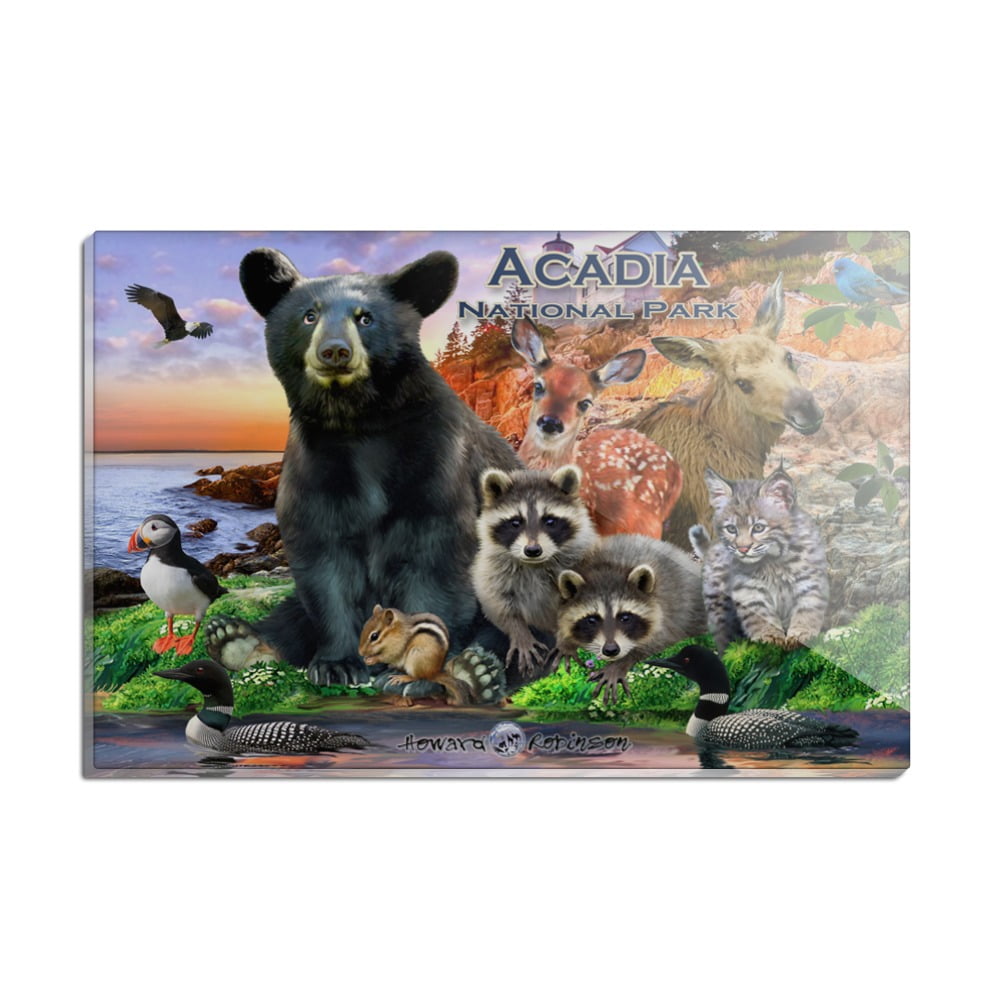 Acadia National Park Maine ME Animals Bear Racoon Deer Moose Rectangle ...