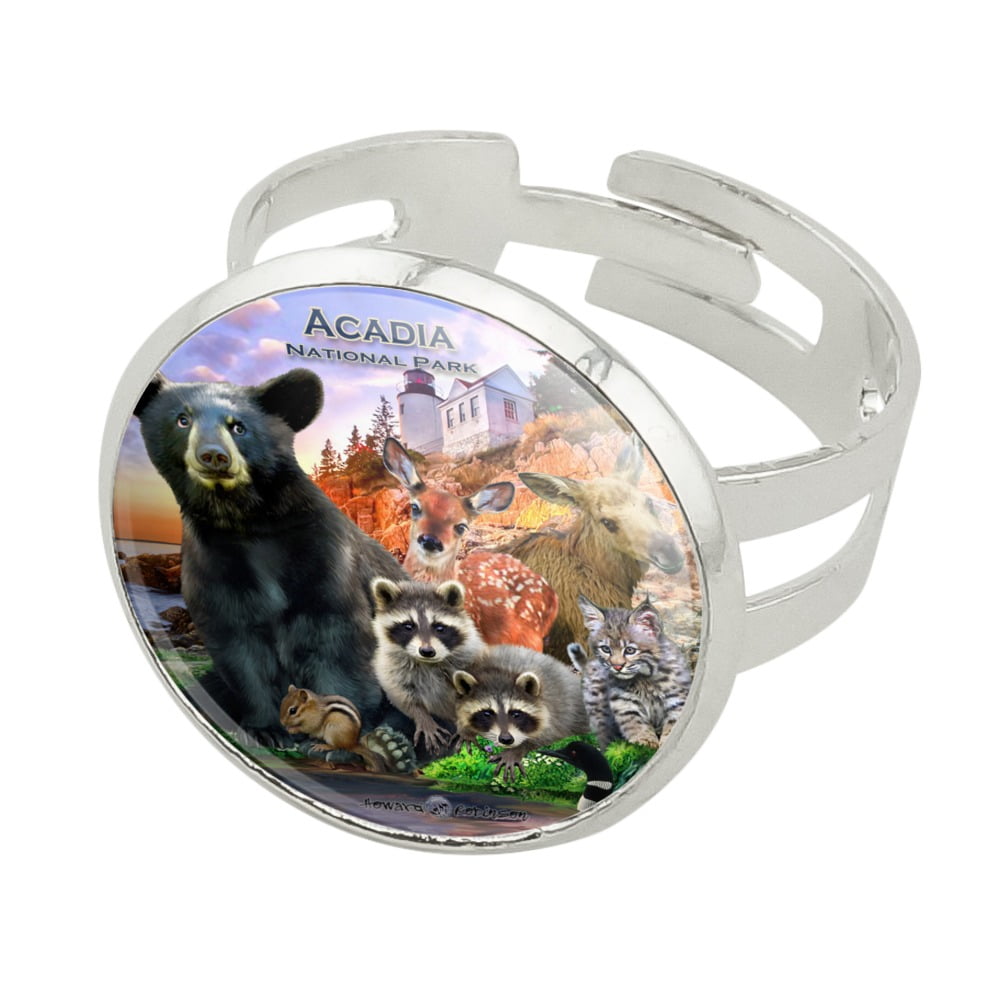 Acadia National Park Maine ME Animals Bear Racoon Deer Moose Silver ...