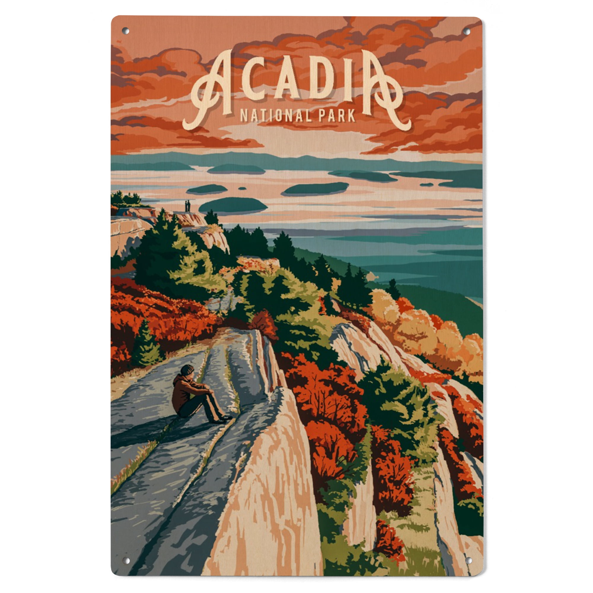 Acadia National Park, Maine, Painterly National Park Series Birch Wood ...