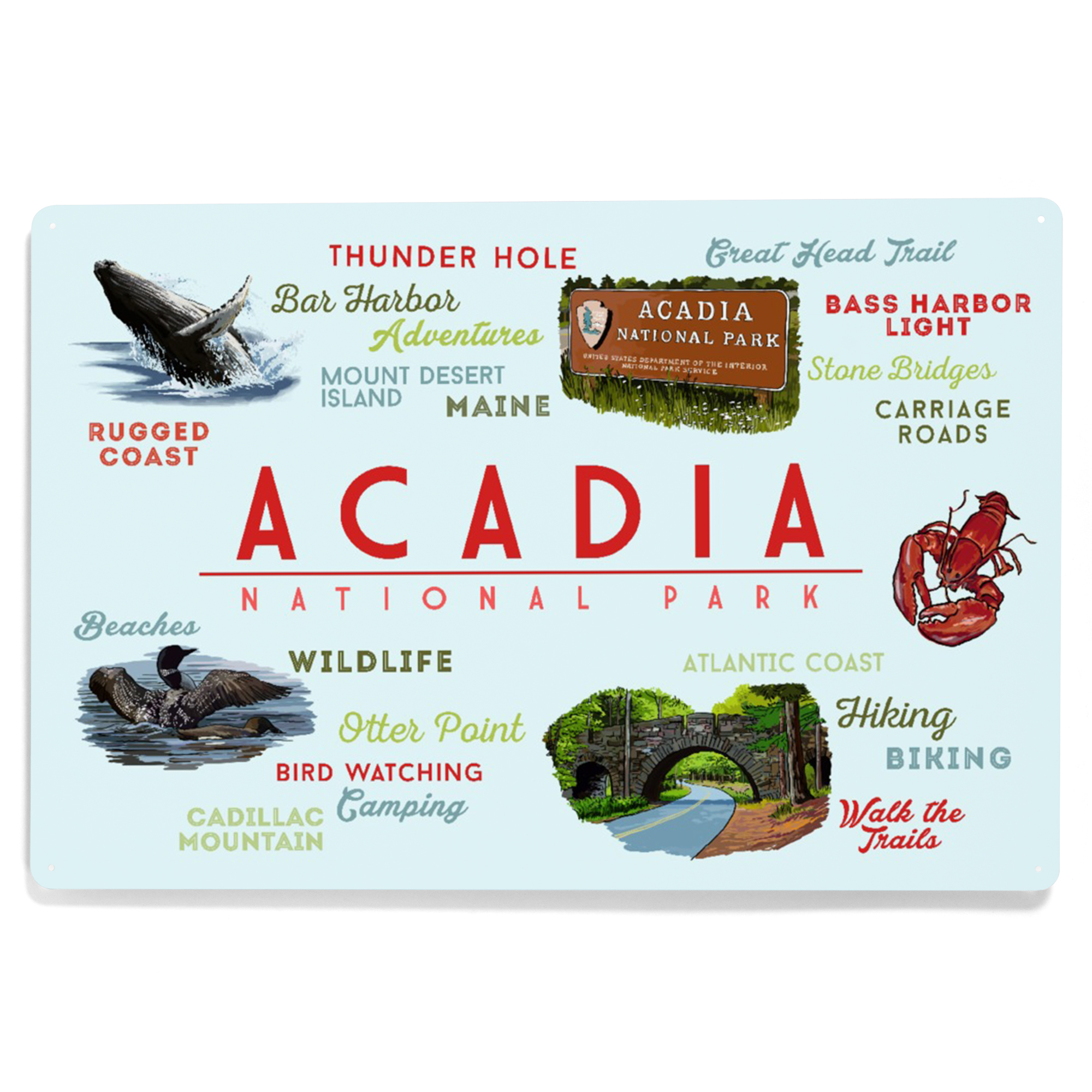 Acadia National Park, Maine, Typogrphy and Icons (12x18 Aluminum Art ...
