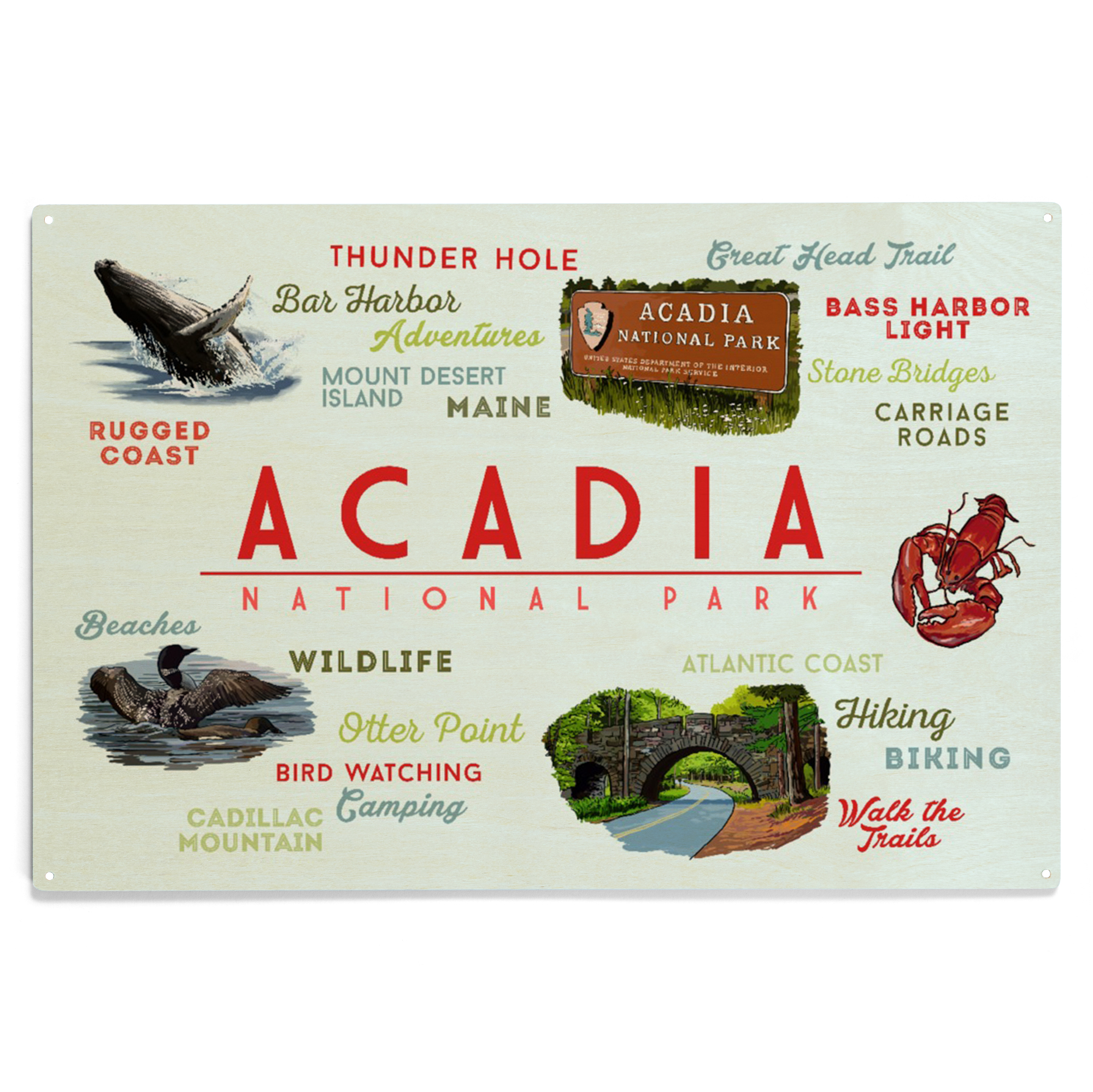 Acadia National Park, Maine, Typogrphy and Icons Birch Wood Wall Sign ...