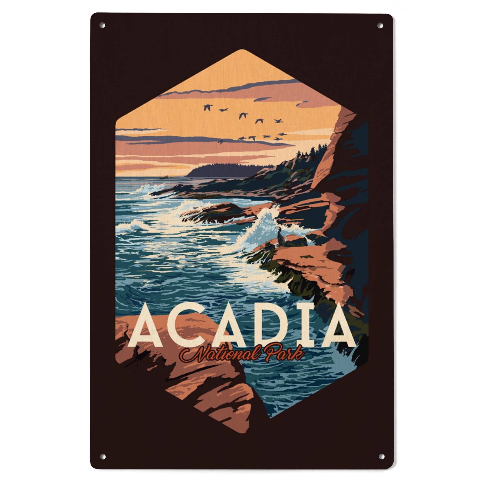 Acadia National Park, Mount Desert Island Illustration, Contour Birch ...
