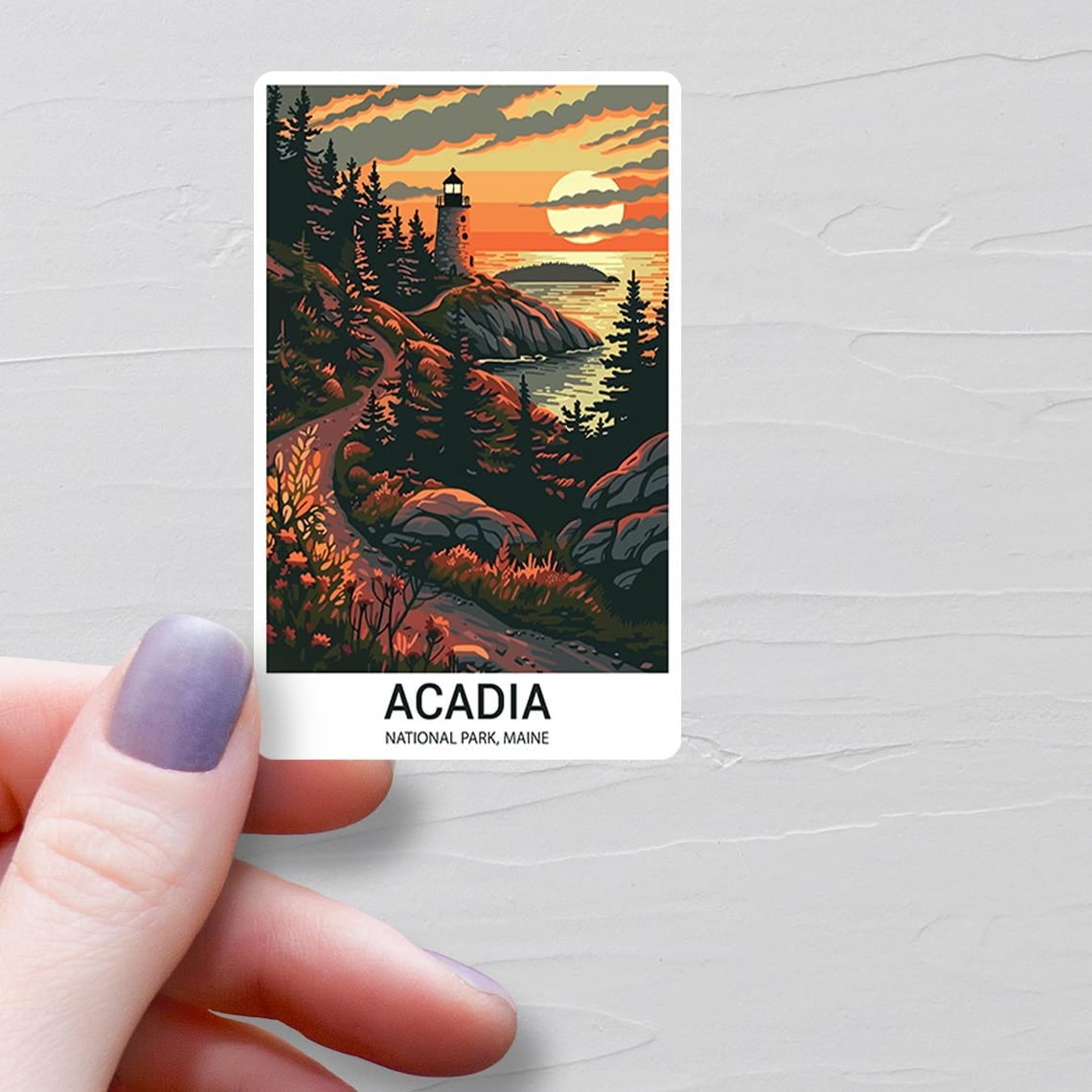 Acadia National Park Travel Usa National Park State Maine Souvenir S559 ...