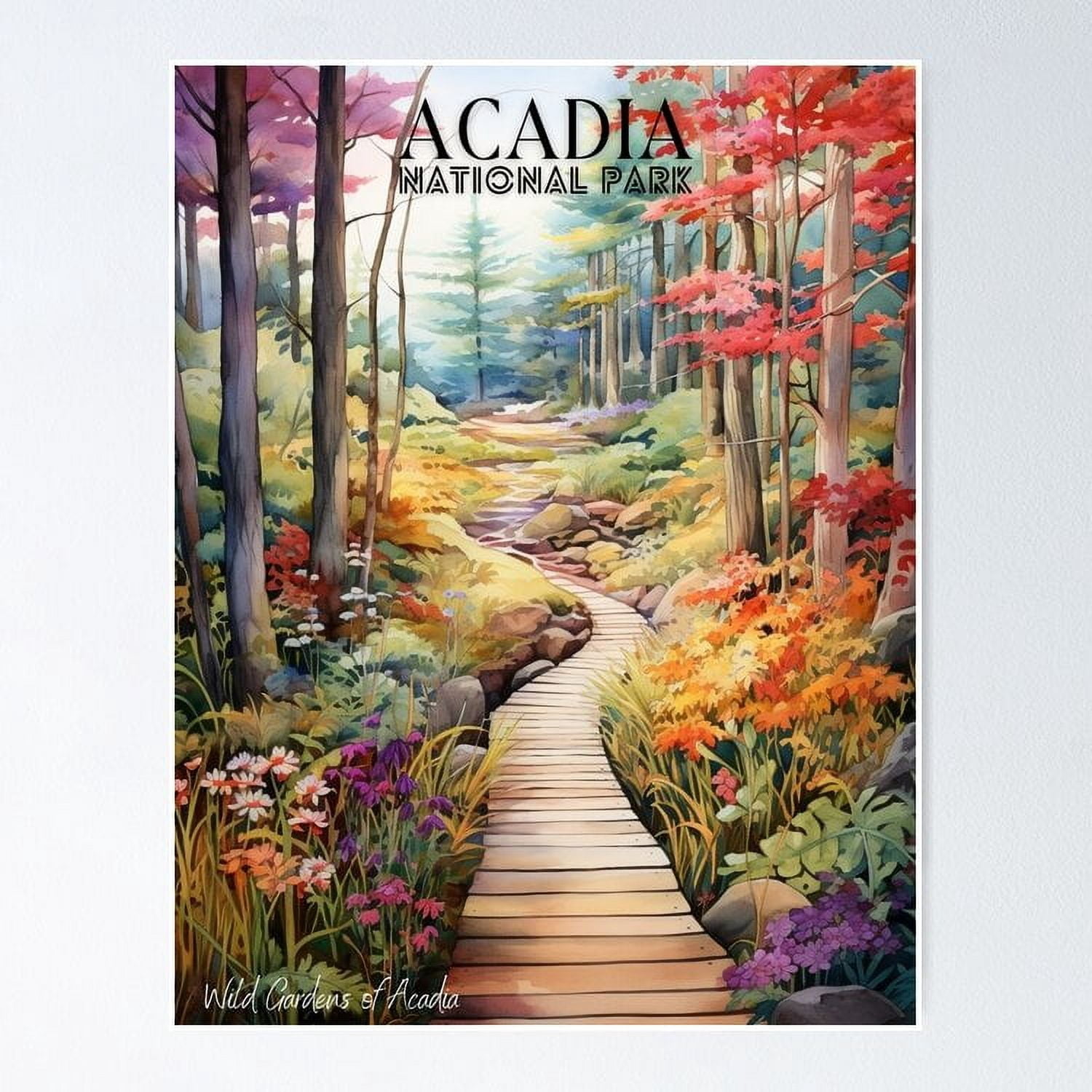 Acadia National Park, Wild Gardens of Acadia Poster, 16x24 UNFRAMED ...
