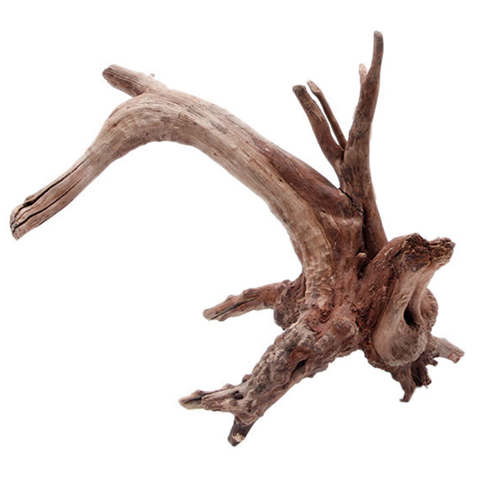 Acahhotxx Natural Driftwood, Aquarium Irregular Shape Wood Ornament for ...