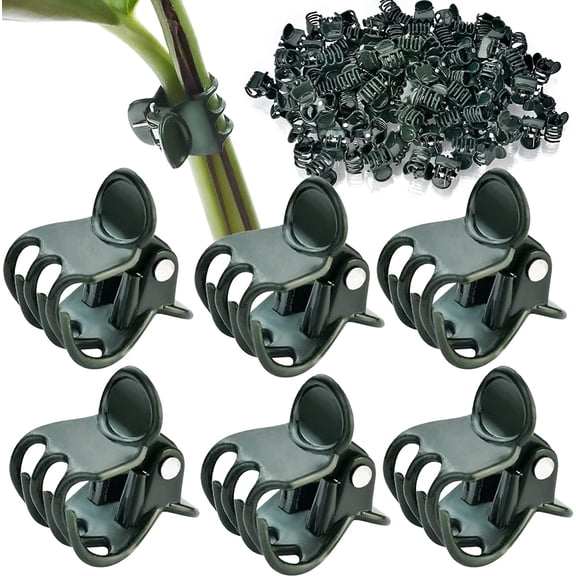 Orchid Clips