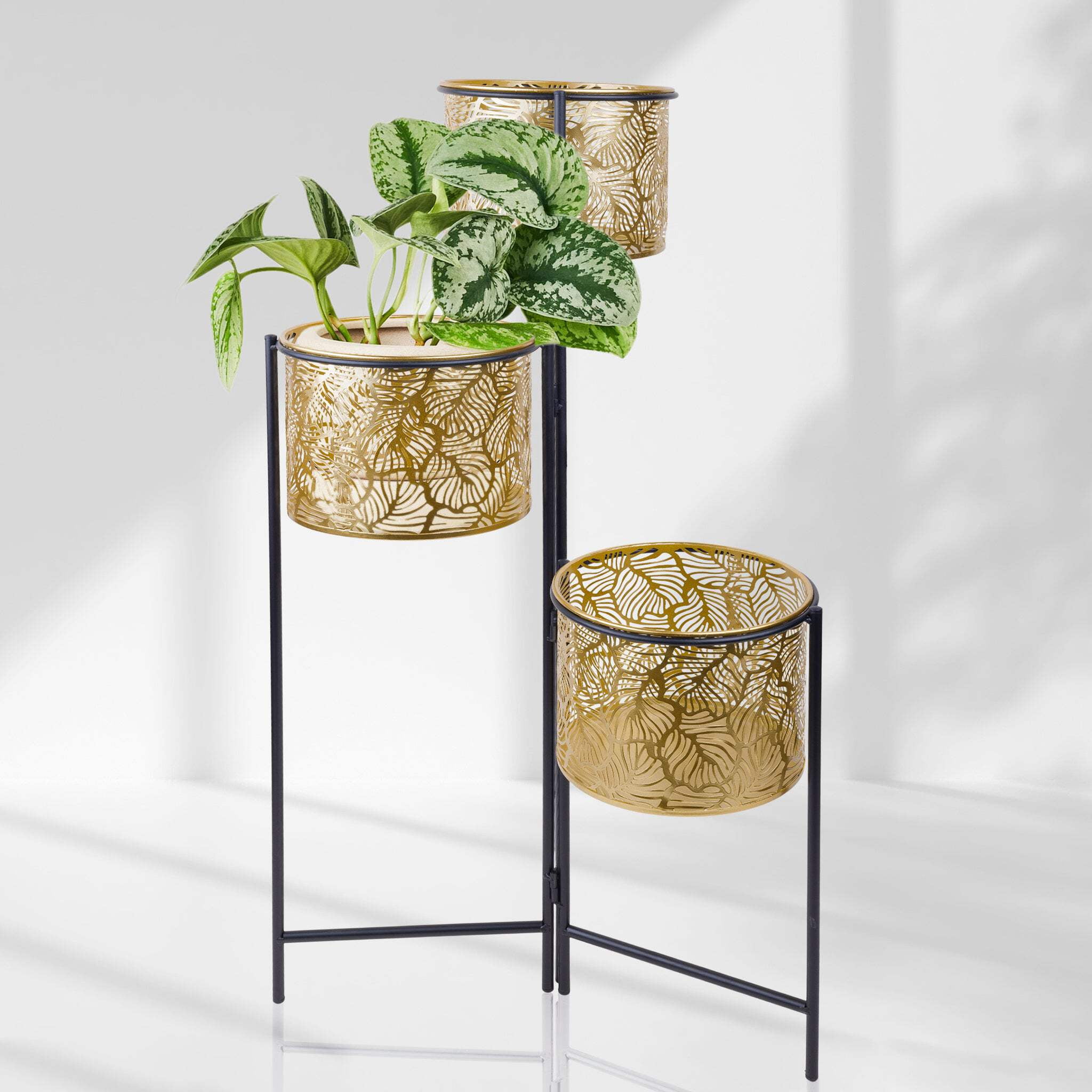 Indoor Golden Pots and Planters, Living Room Decor, Decorative Plant ...