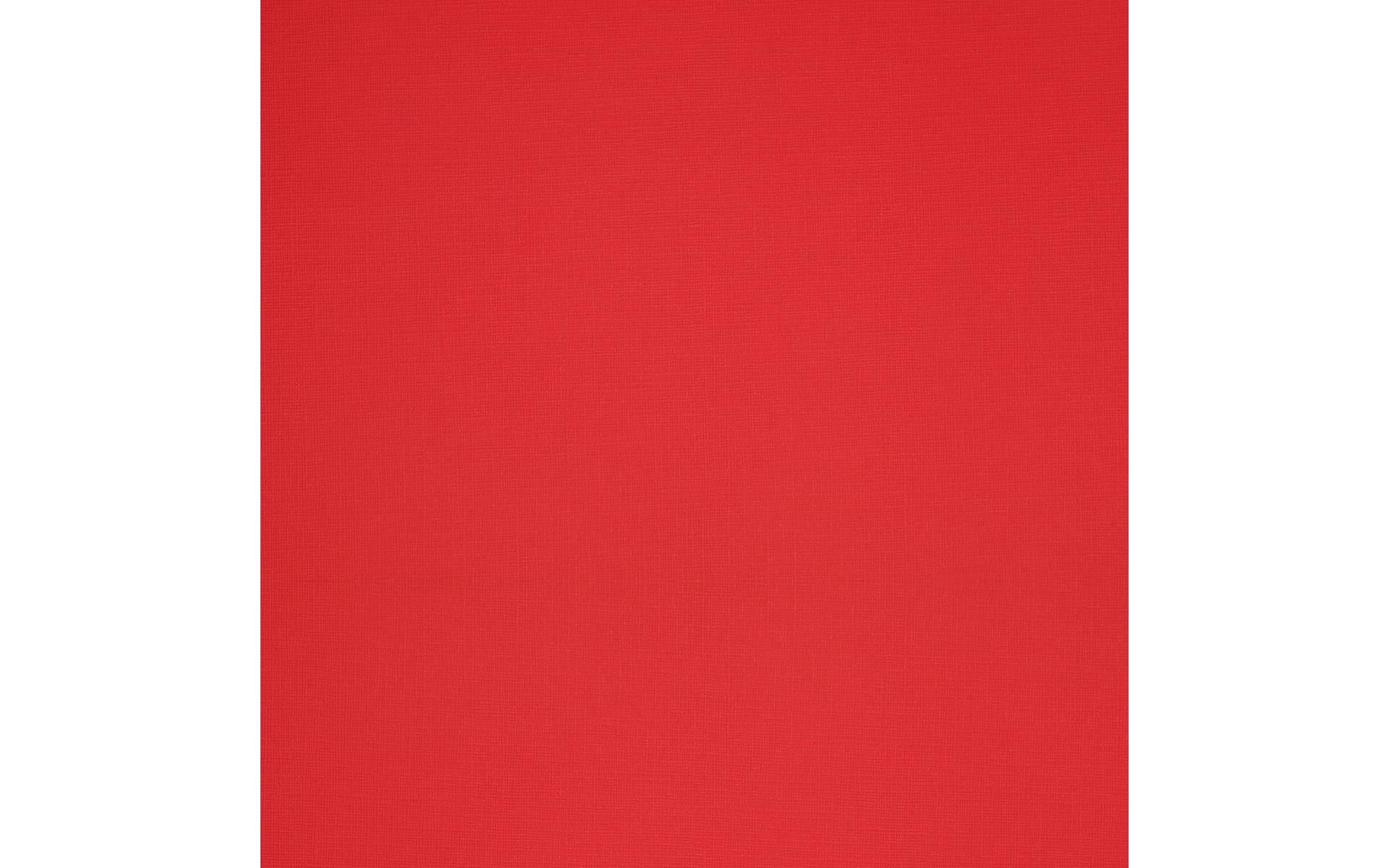 Accent Design Paper Accents Cardstock Muslin Ladybug, 12"x12", 73lb ...