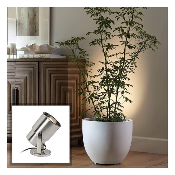 Indoor Uplight