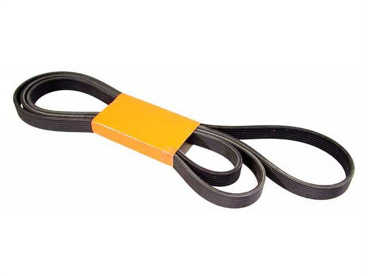 Accessory Drive Belt - Compatible with 2003 - 2006 Porsche Cayenne 2004 ...