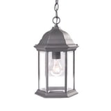 Acclaim Madison 1-Light Outdoor Hanging Lantern - Matte Black - 5186BK ...