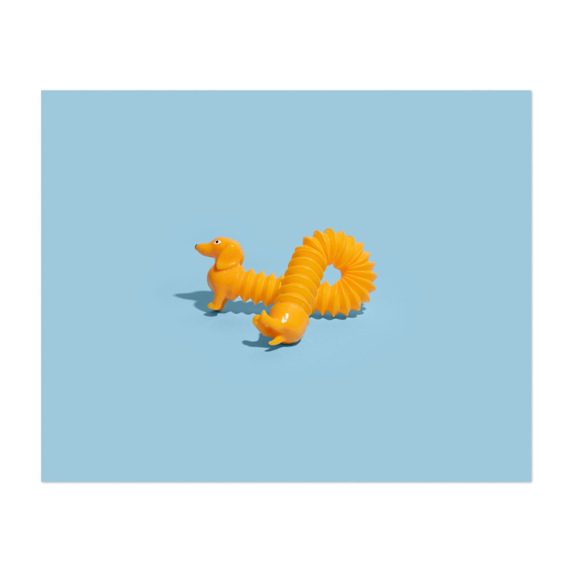 Accordion Dog Toy 02 - Photography Dog Humor Whimsical Surrealism ...
