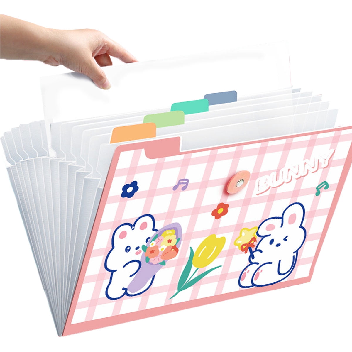Accordion File Organizer expands folder with label, Accordion File ...