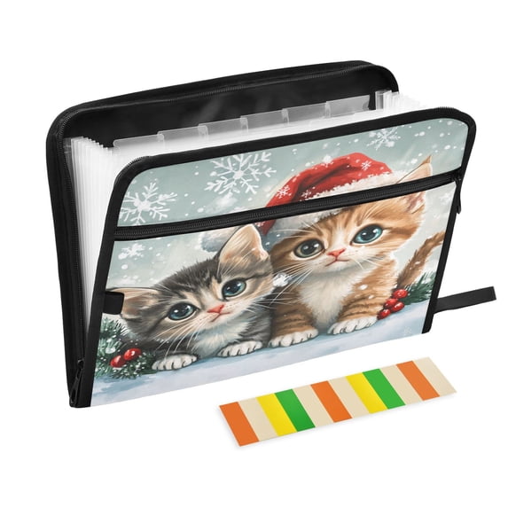 Accordion File Organizer with Zip Closure 13 Pockets Expanding File ...