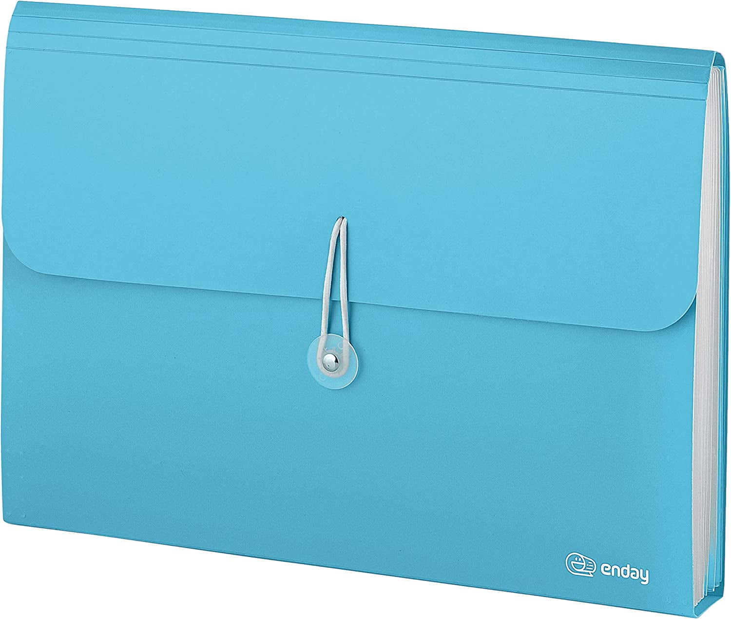 Accordion File Orizer 13 Pocket Expanding Folder with Labels, Letter ...
