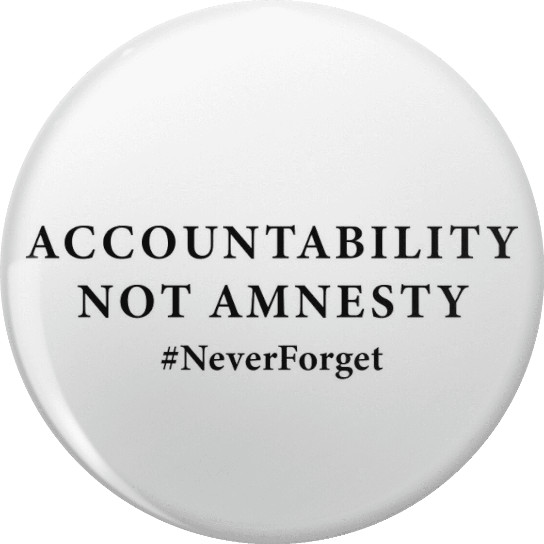 Accountability Not Amnesty Never Forget Pin Lapel Pin Brooch Steel Pins ...