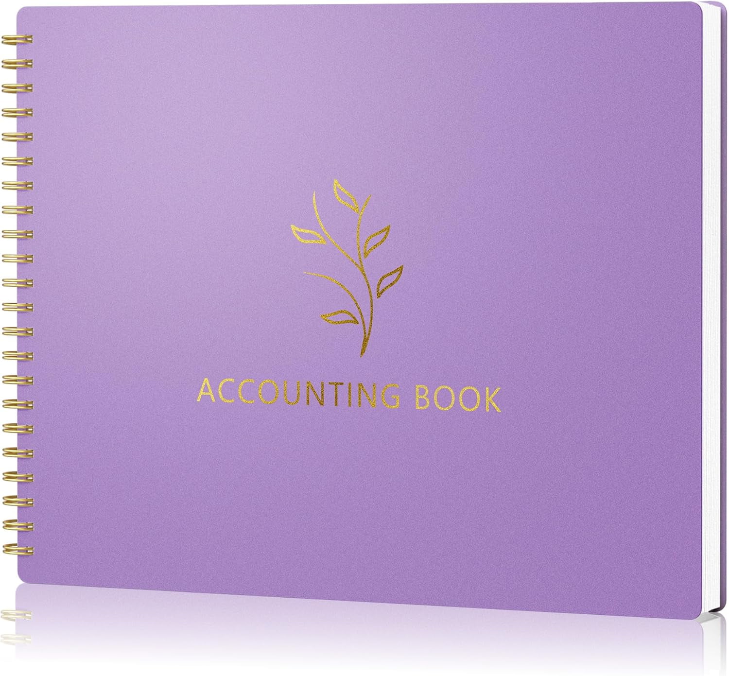 Accounting Ledger Book for Small Business Bookkeeping & Personal Use ...