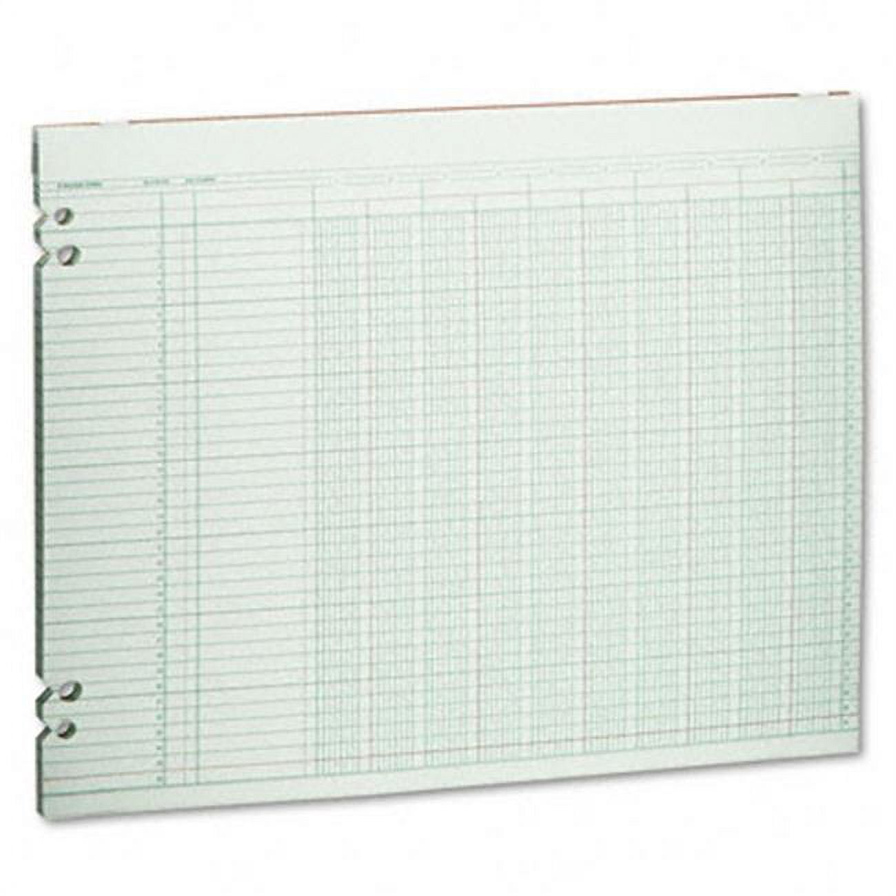 Accounting Sheets 10 Columns 11 x 14 100 Loose Sheets Pack GN - Walmart.com