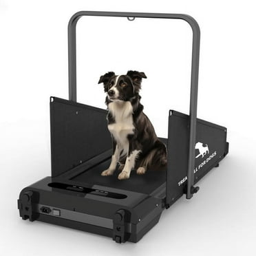 Luku 1.5HP Folding Dog Running Machine, Small Dog Treadmill, Dog Pacer ...