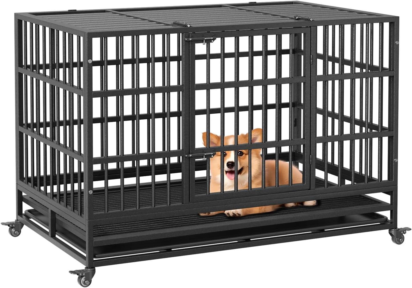 Accreate Easy Assembly Heavy Duty Dog Crate - Portable and Secure Cage ...