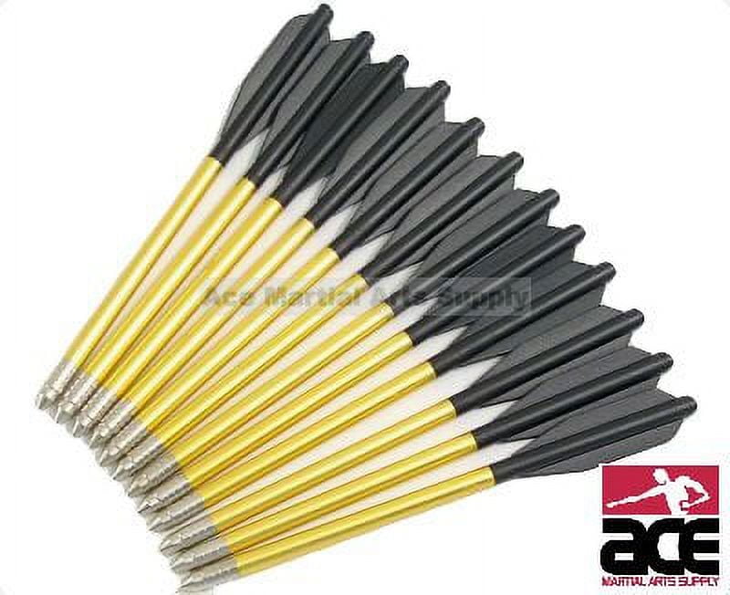 Ace Martial Arts 60 Aluminum Pistol Crossbow Arrows 50 - 80 Lb ...