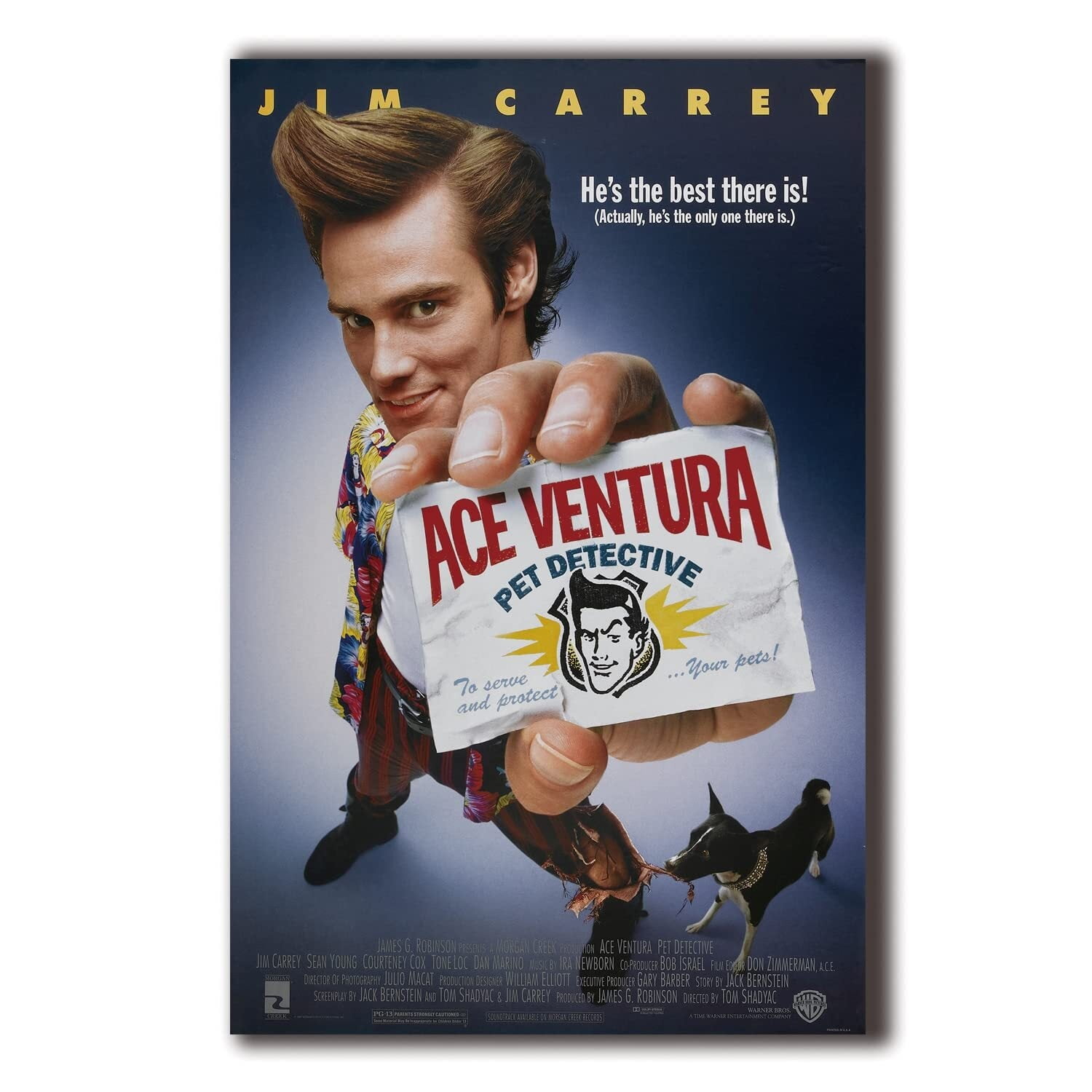 Ace Ventura Pet Detective Movie Poster for Home Decor Wall Art ...