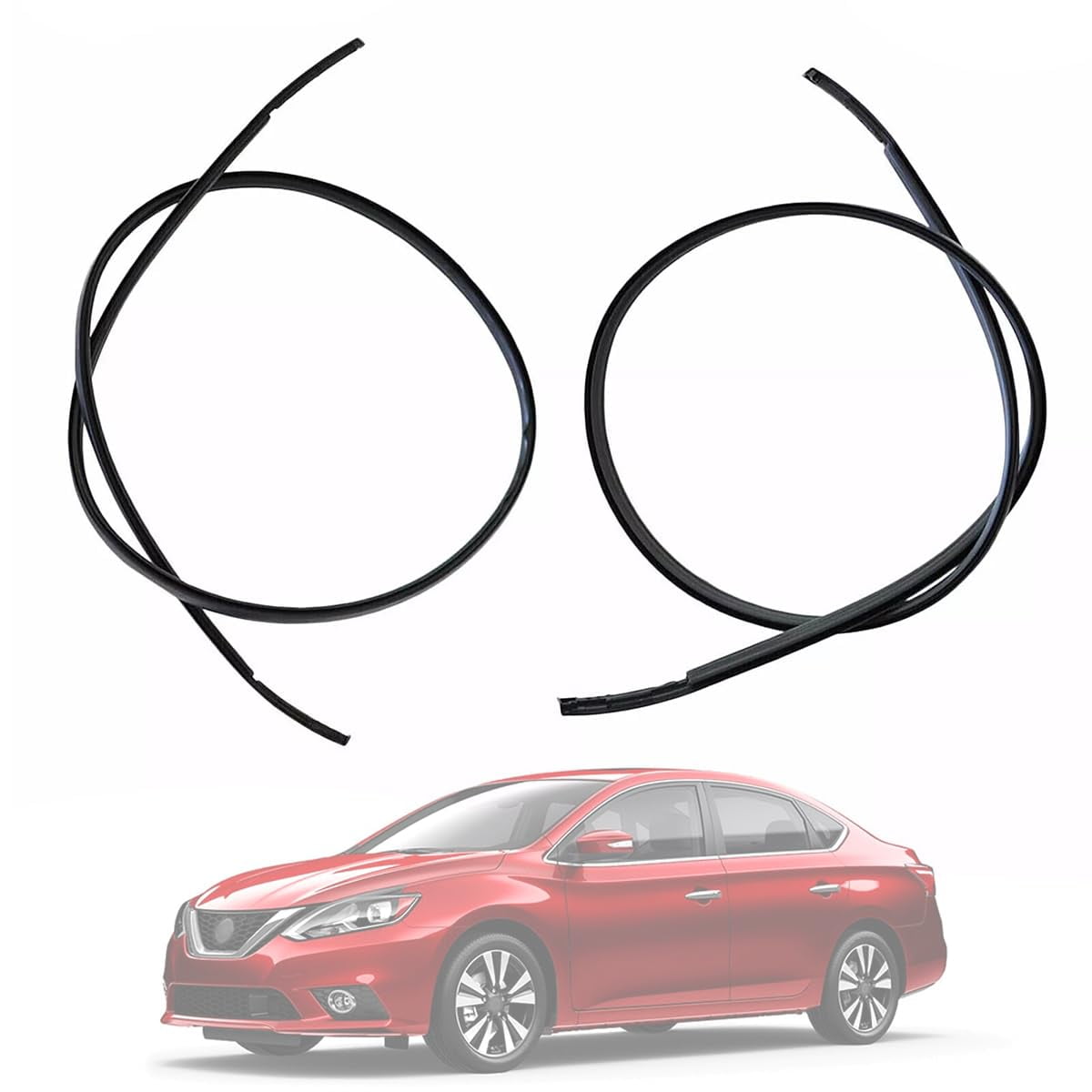 AceRide Roof Molding Drip KEF16 Weatherstrip Compatible with Nissan ...