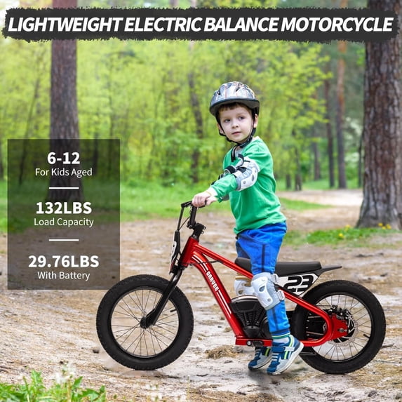Acekid Electric Dirt Bike 24V 360W Dirt Bike Electric Off-Road Wheel ...