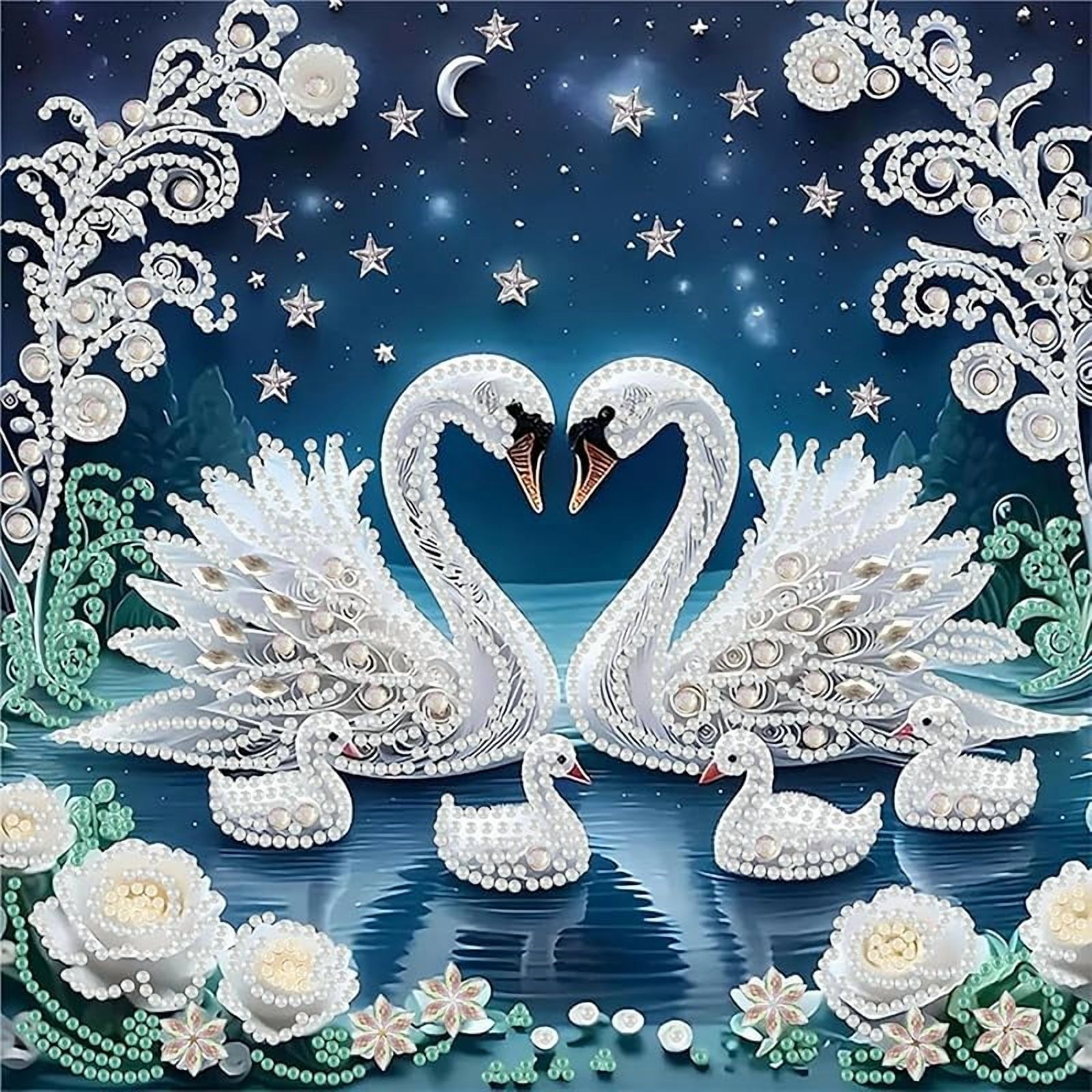 Acelii 5D Diamond Art Kits for Adults Beginners Indian Owl Wolf，DIY ...