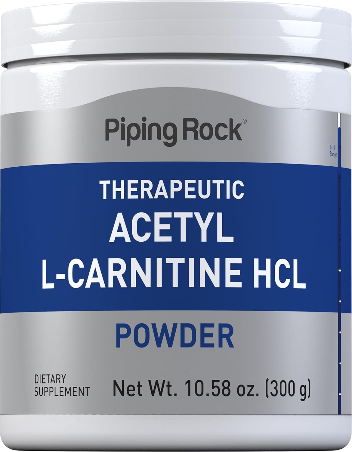 Acetyl L-Carnitine | 100mg Powder | Supplement for Men and Women | by ...