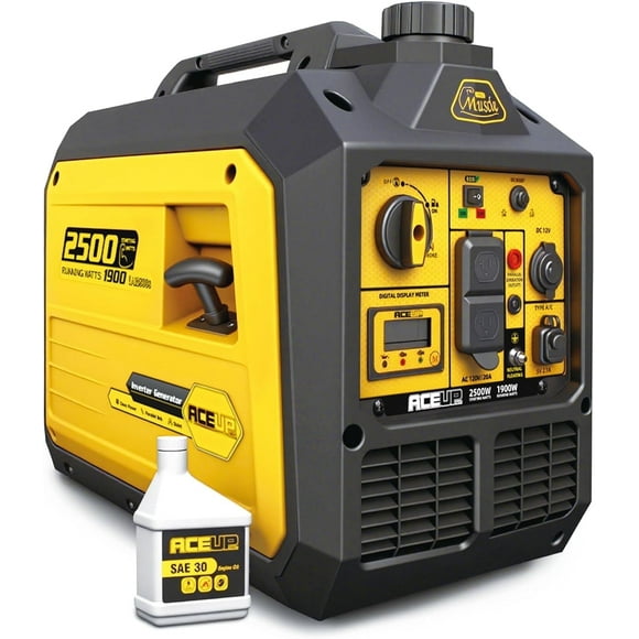 2500 Watt Generator