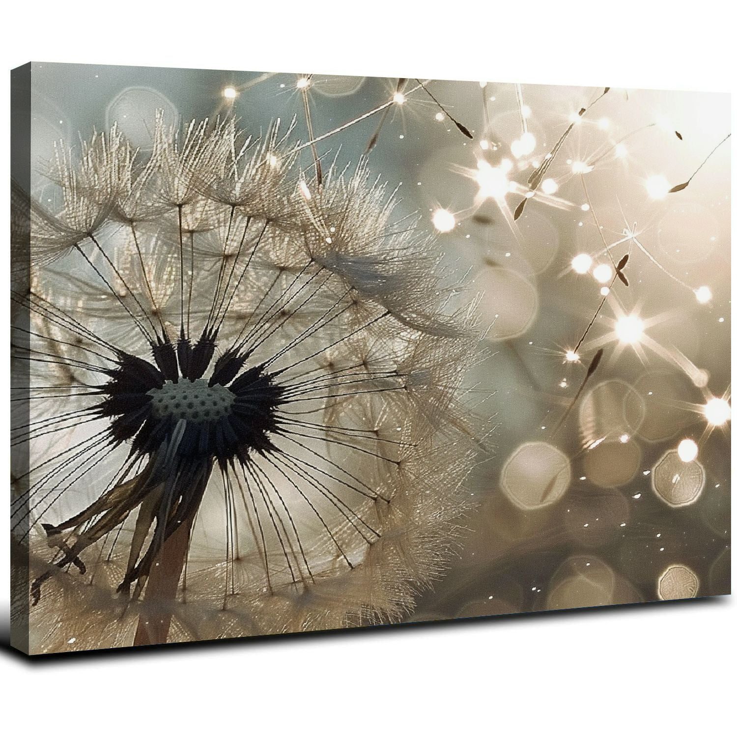 Acheng Canvas Wall Art Print Dandelion Home Decor Framed Picture ...