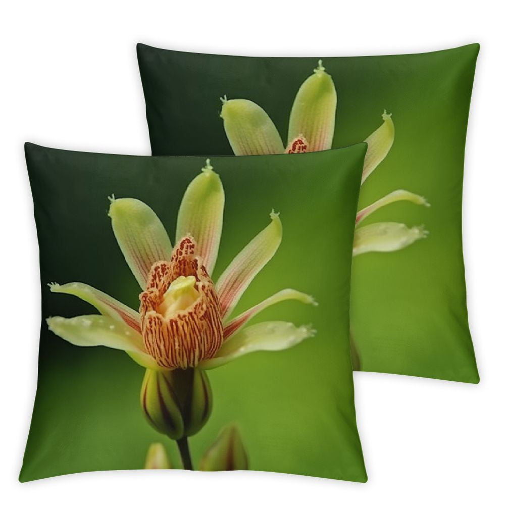 Acheng Decorative Throw Pillow Cover Beautiful Orchid Flower Grow Wild ...