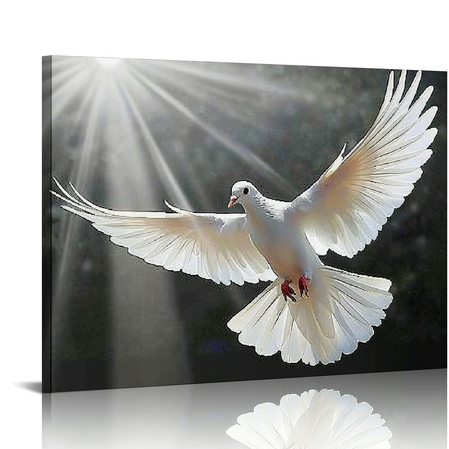 Acheng Dove Peace Bird White Dove with Swings Flying In The Sky ...