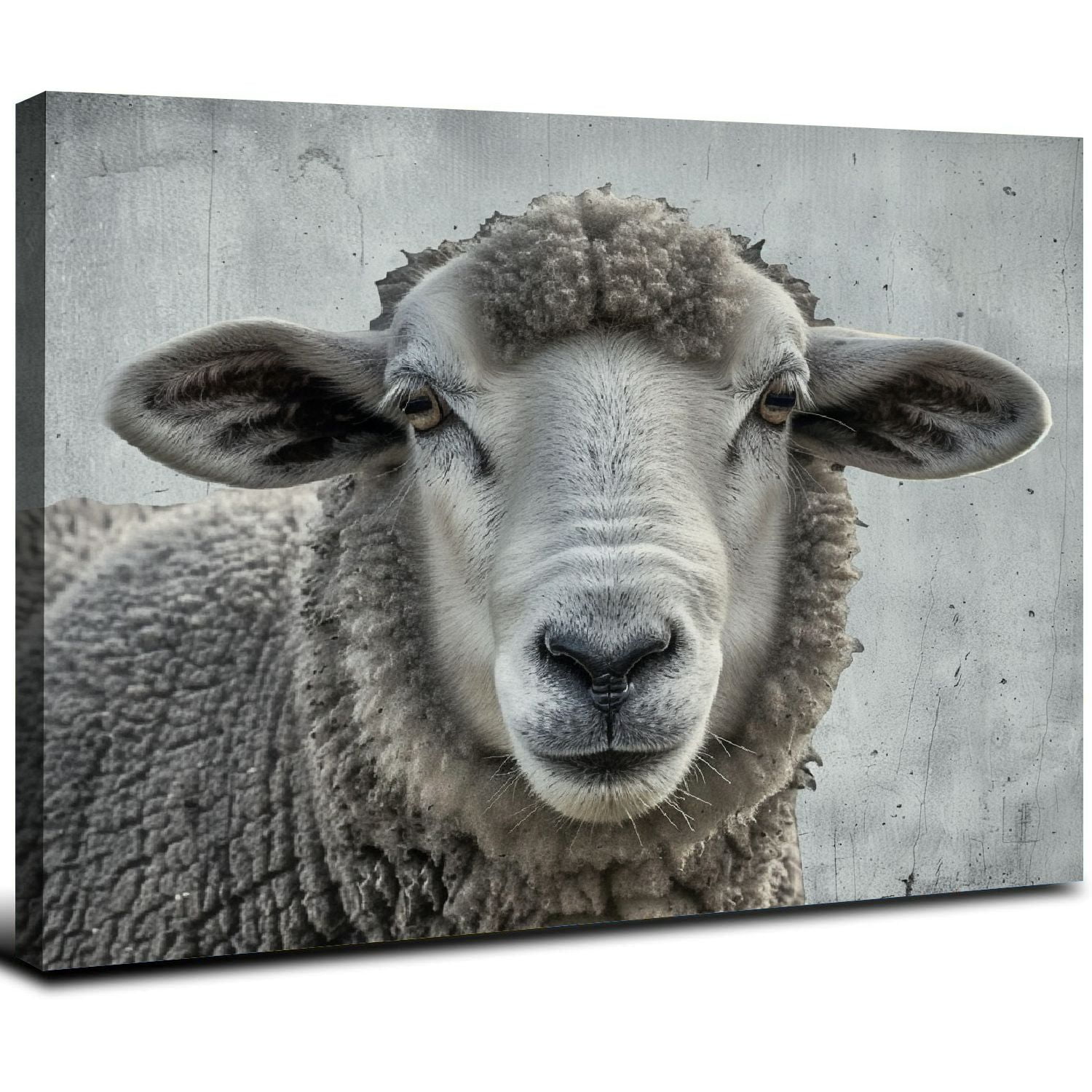 Acheng Framed Canvas Print Wall Art Barnyard Sheep Portrait Nature Wilderness Digital Art Modern ...