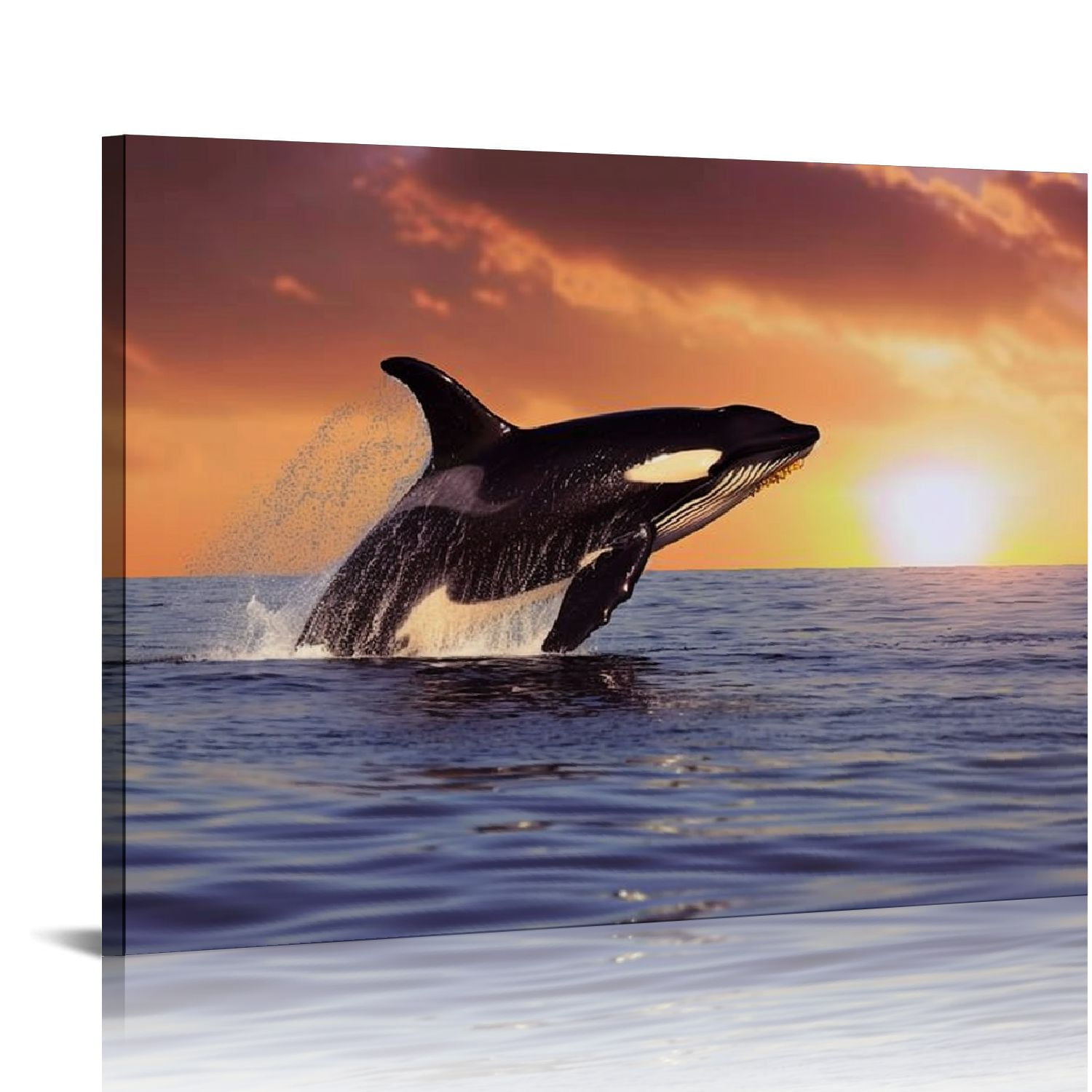 Acheng Killer Whale Pictures Wall Decor Canvas Wall Art For Living Room ...