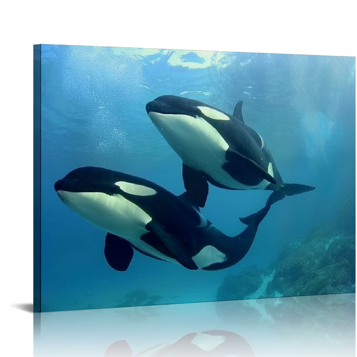 Acheng Orca Killer Whale Under Sea Posters Room Aesthetics Canvas ...