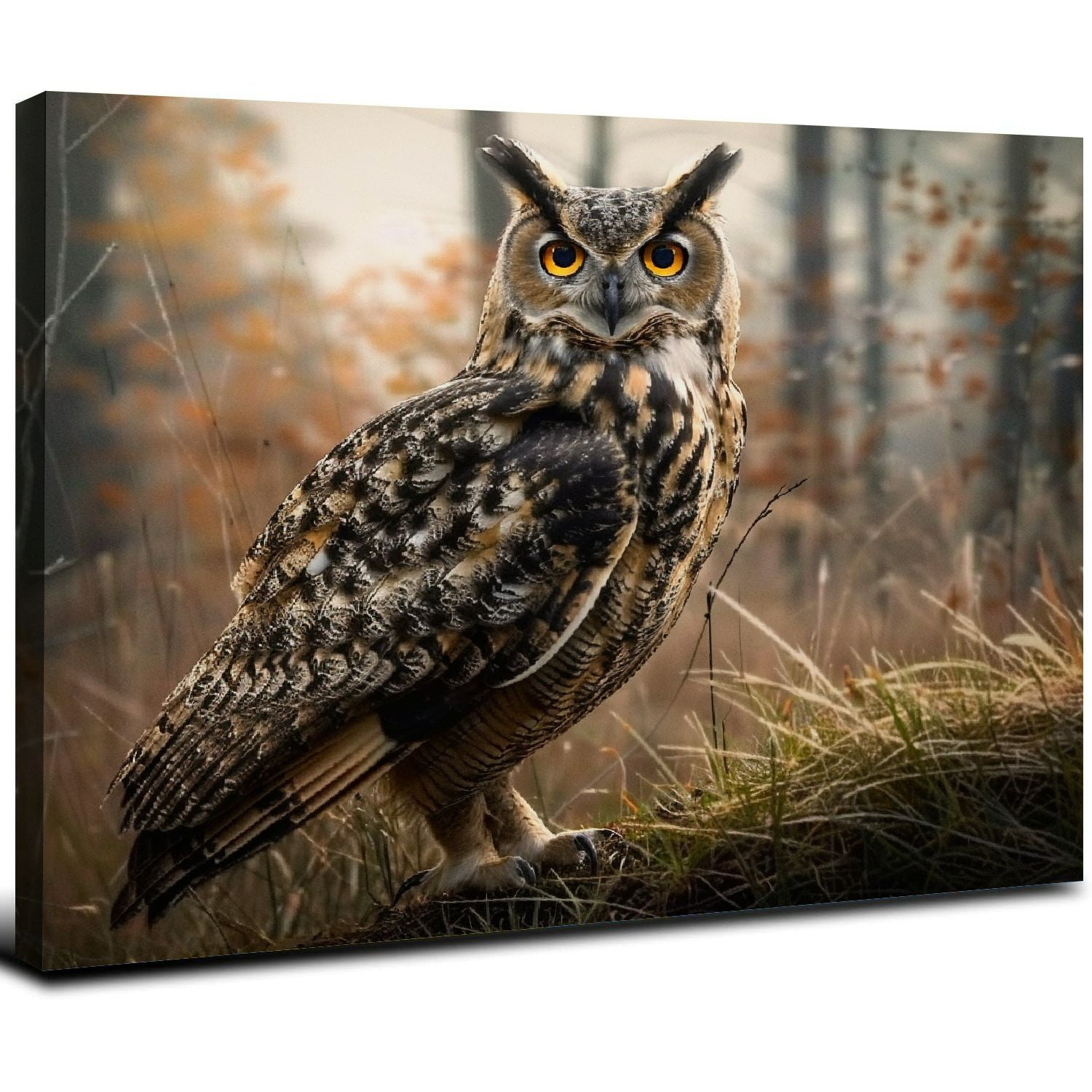 Acheng Owl Pictures Canvas Wall Art Decor Birds Animal Prints Living ...