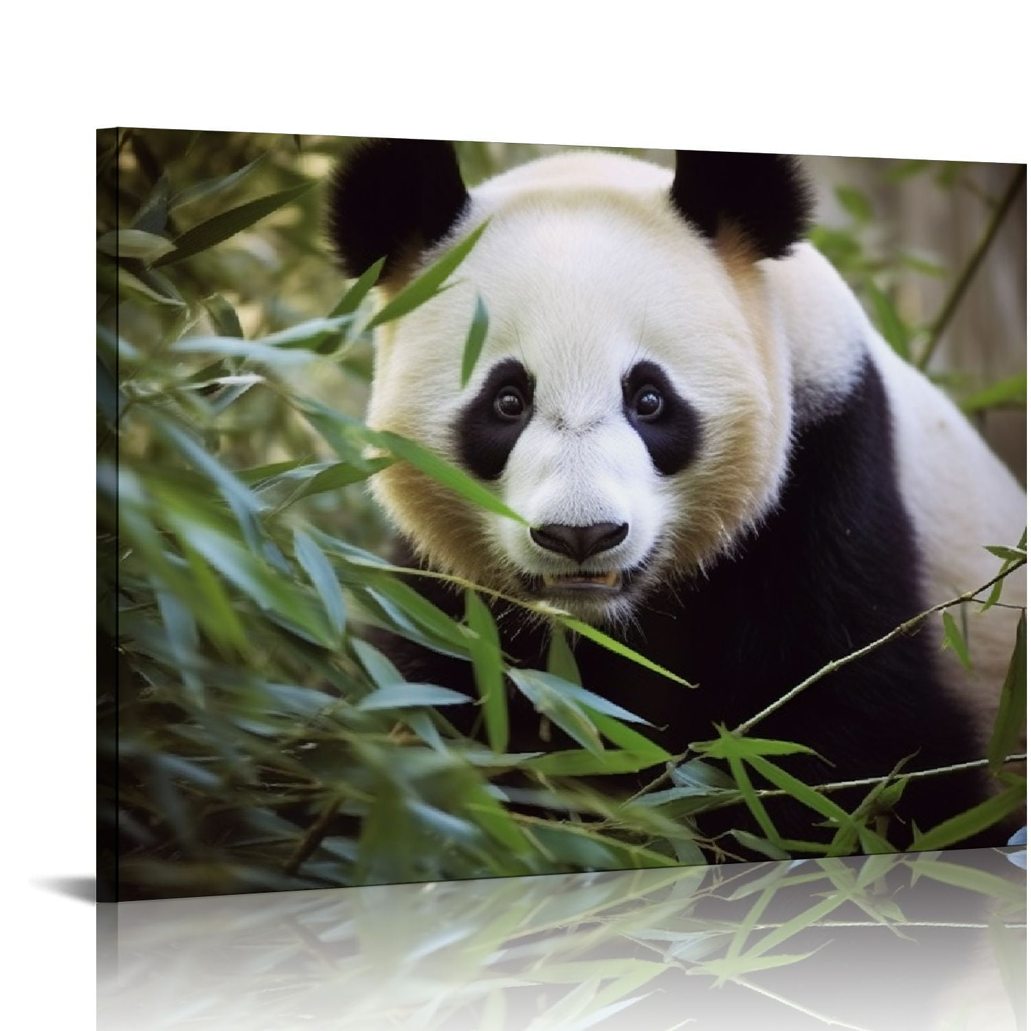 Acheng Panda Canvas Prints Wall Art Pictures Wall Decor Animal Posters ...