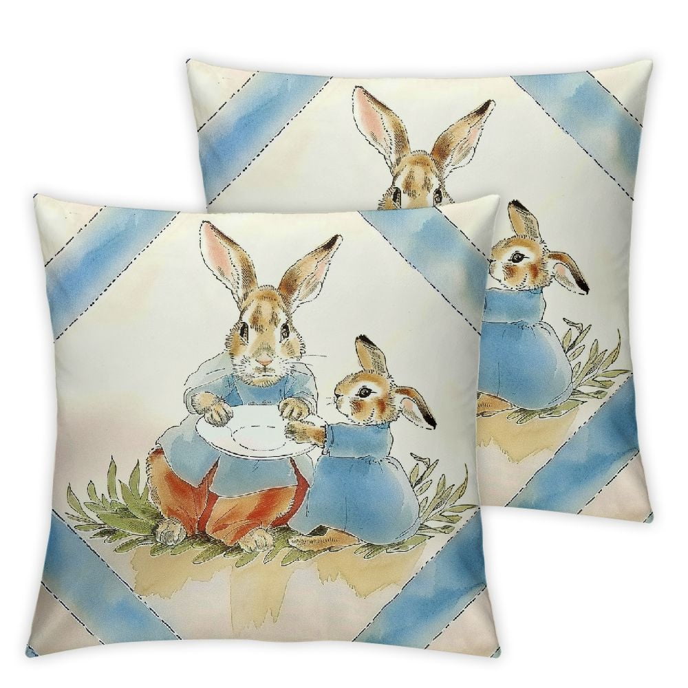 Acheng Rose Image of Peter Rabbit Scene On Blue Chevron Stripes Pillow ...