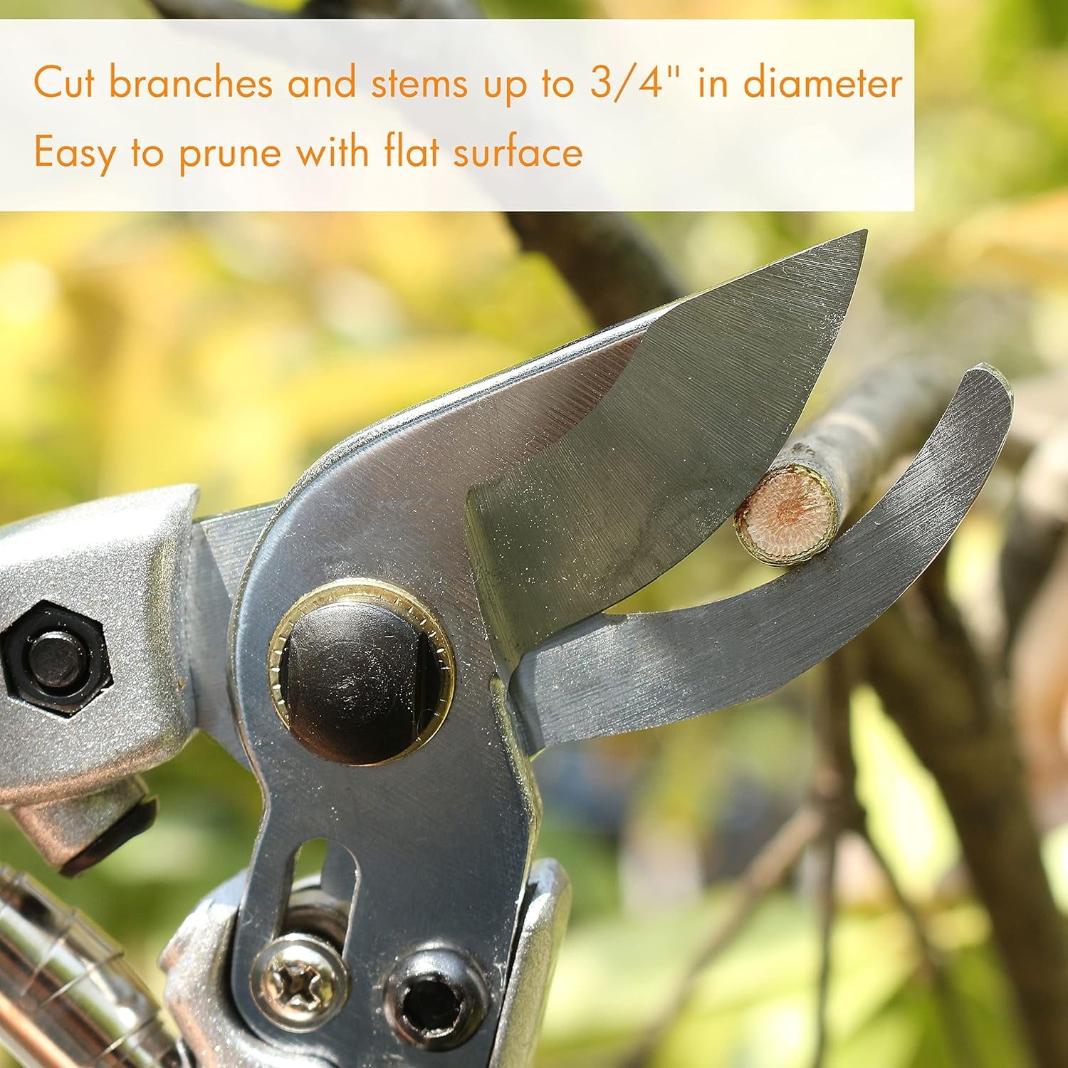 Achieve Effortless Precision Cutting and Pruning with Comfortable and ...