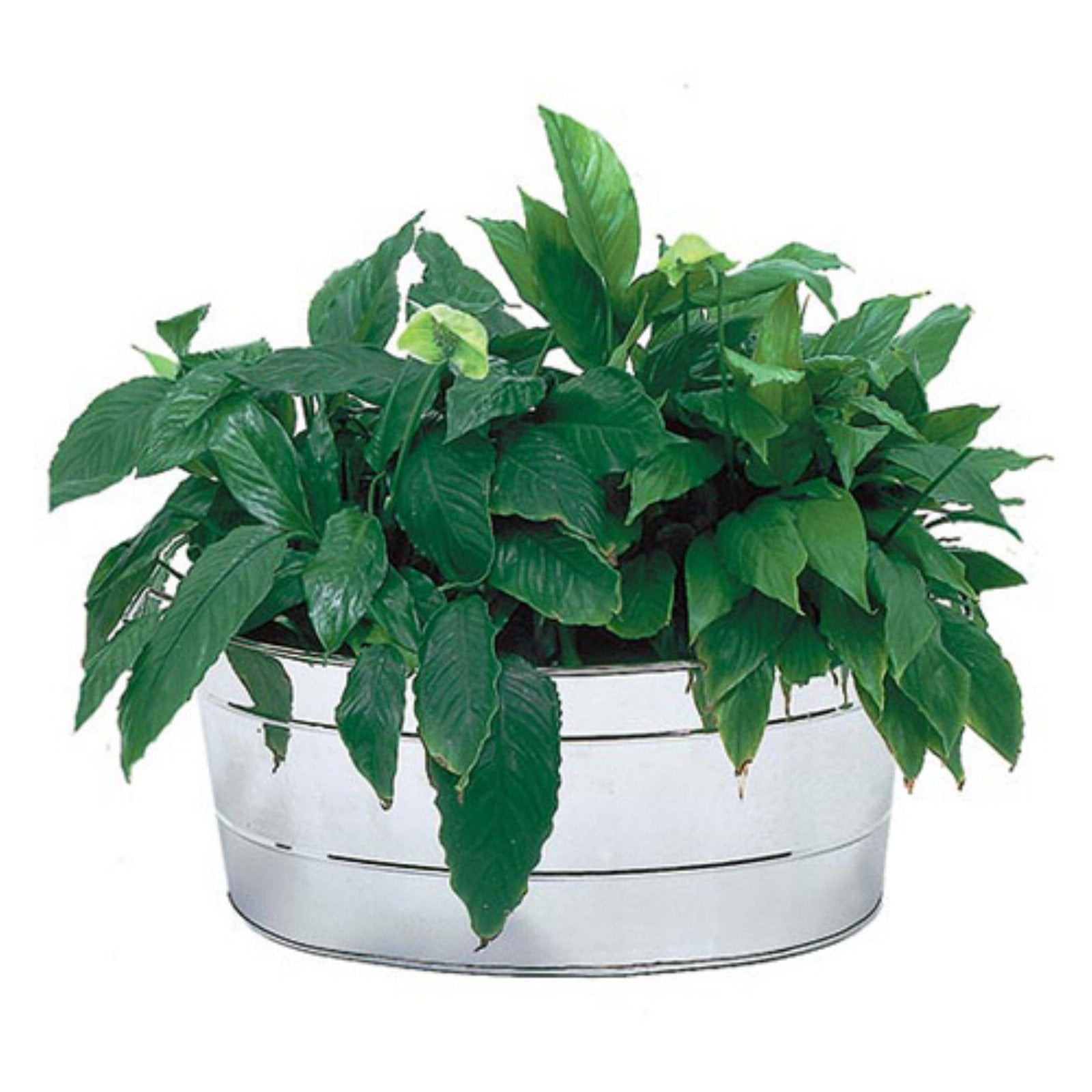 Achla Designs Oval Stainless Steel Planting Tub - Walmart.com