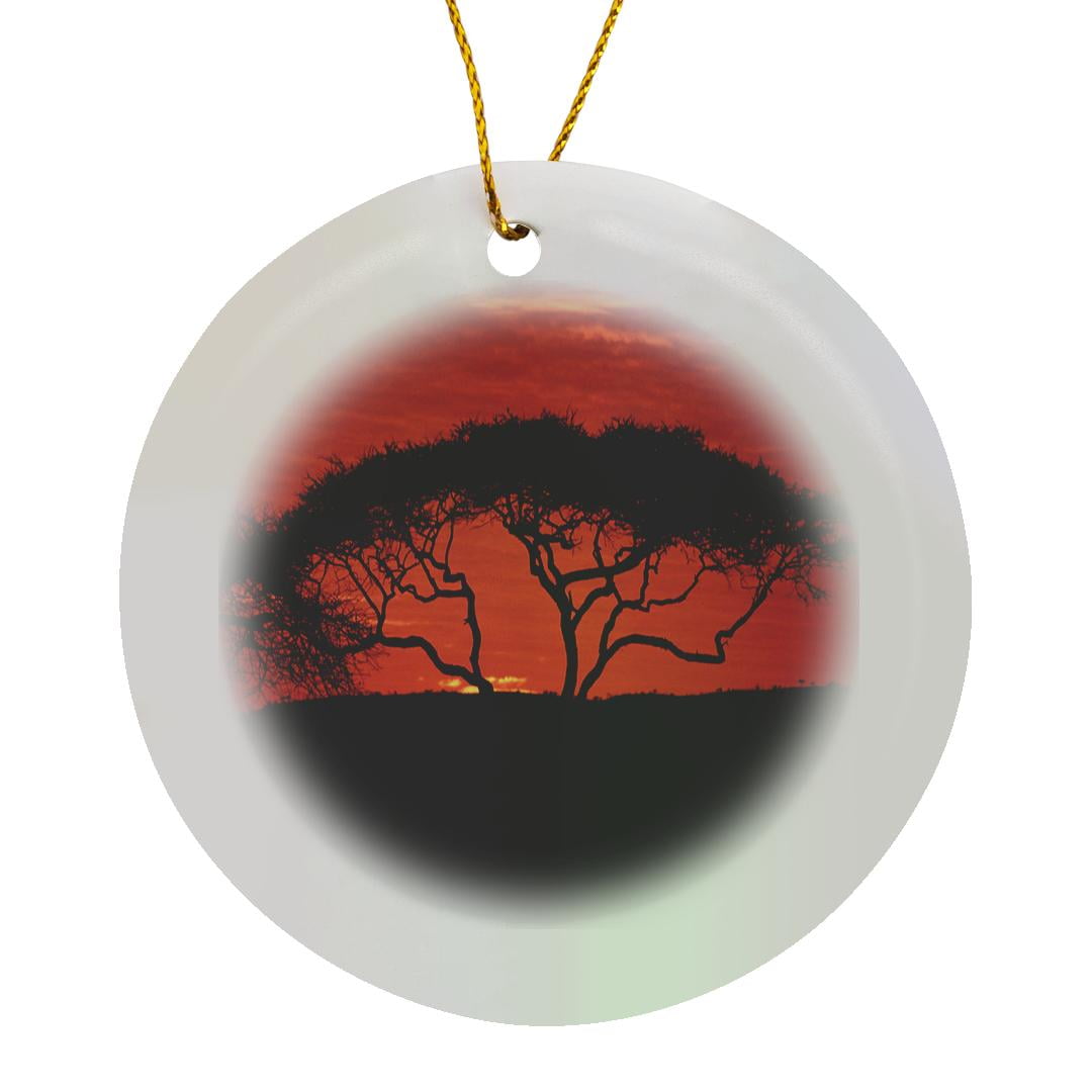 3drose, Acia Tree in Serengeti National Park Tanzania Africa, Circle ...