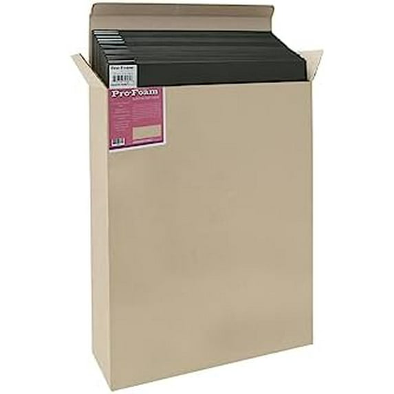 Acid-Free Foam Board Sheets for Artists and Framers 20"×30" (3/16" Thick), Box of 25 - Ideal for ...
