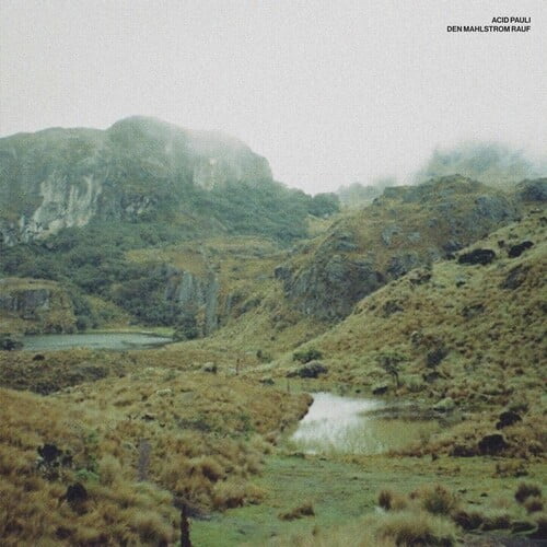Acid Pauli - Den Mahlstrom Rauf - Music & Performance - Vinyl - Walmart.com