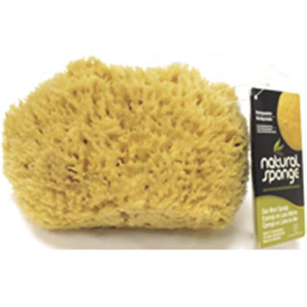 Acme Sponge & Chamois SW1-7080C Seawool Sponge 7 - 8 In.1 Cut - Walmart.com